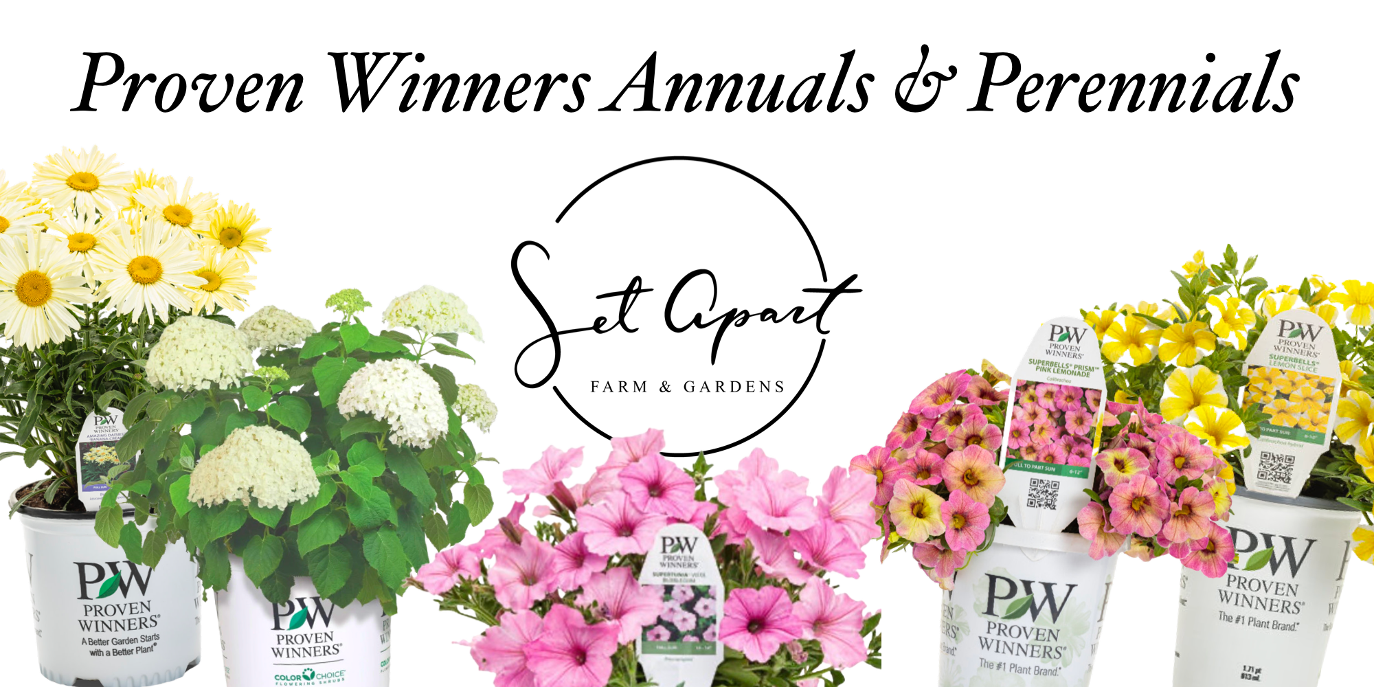 Online Plant Sale | Set Apart Farm & Gardens & Set Apart Health
